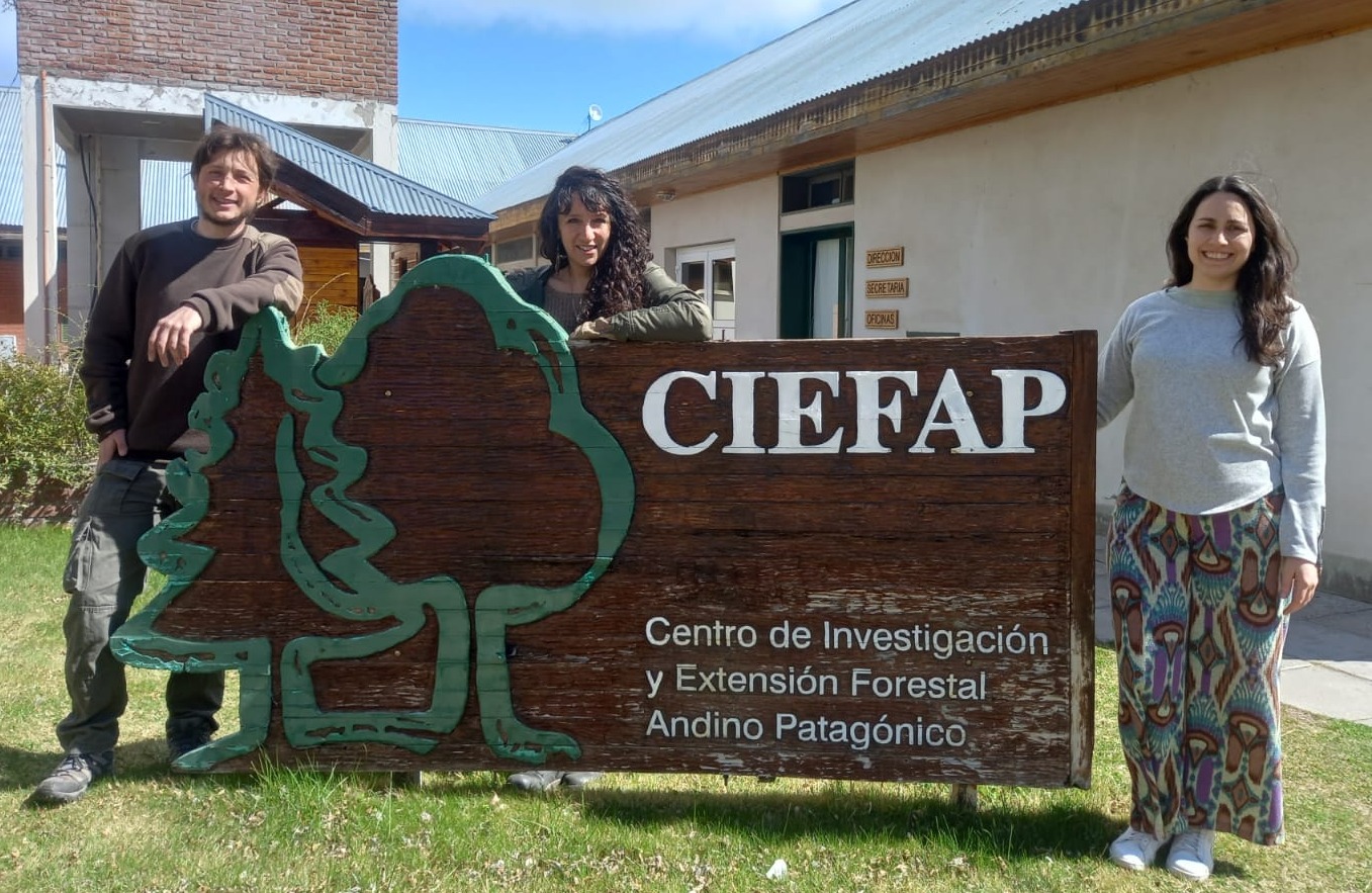 Tres investigadores del CIEFAP fueron distinguidos a nivel internacional